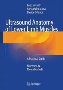 Ultrasound Anatomy of Lower Limb Muscles: A Practical Guide | Medical ...