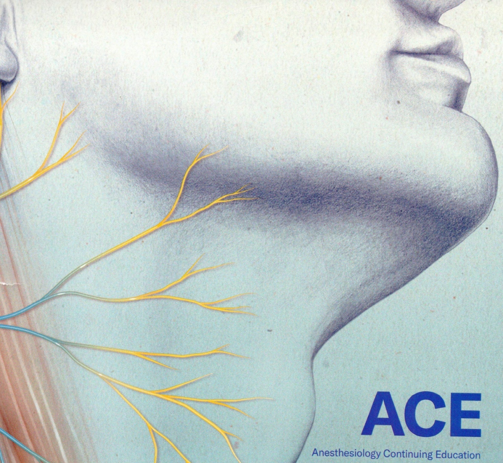 American Society of Anesthesiologists: ACE questions archive (23 PDFs ...